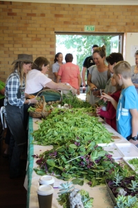 Tenterfield Farmers' & Producers Market