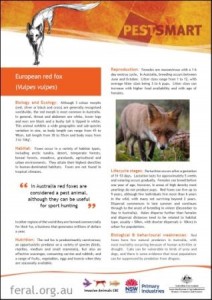 PESTSMART, Fact Sheet - European Red Fox