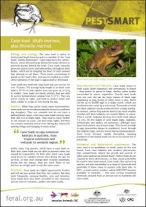 PESTSMART, Fact Sheet - Cane toad