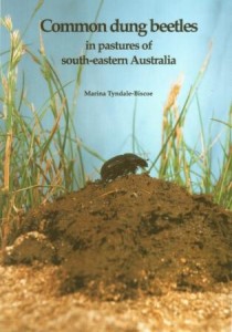 Common dung beetles in pastures of south-eastern Australia