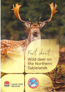 NSW LLS, Fact Sheet - Wild deer on the Northern Tablelands
